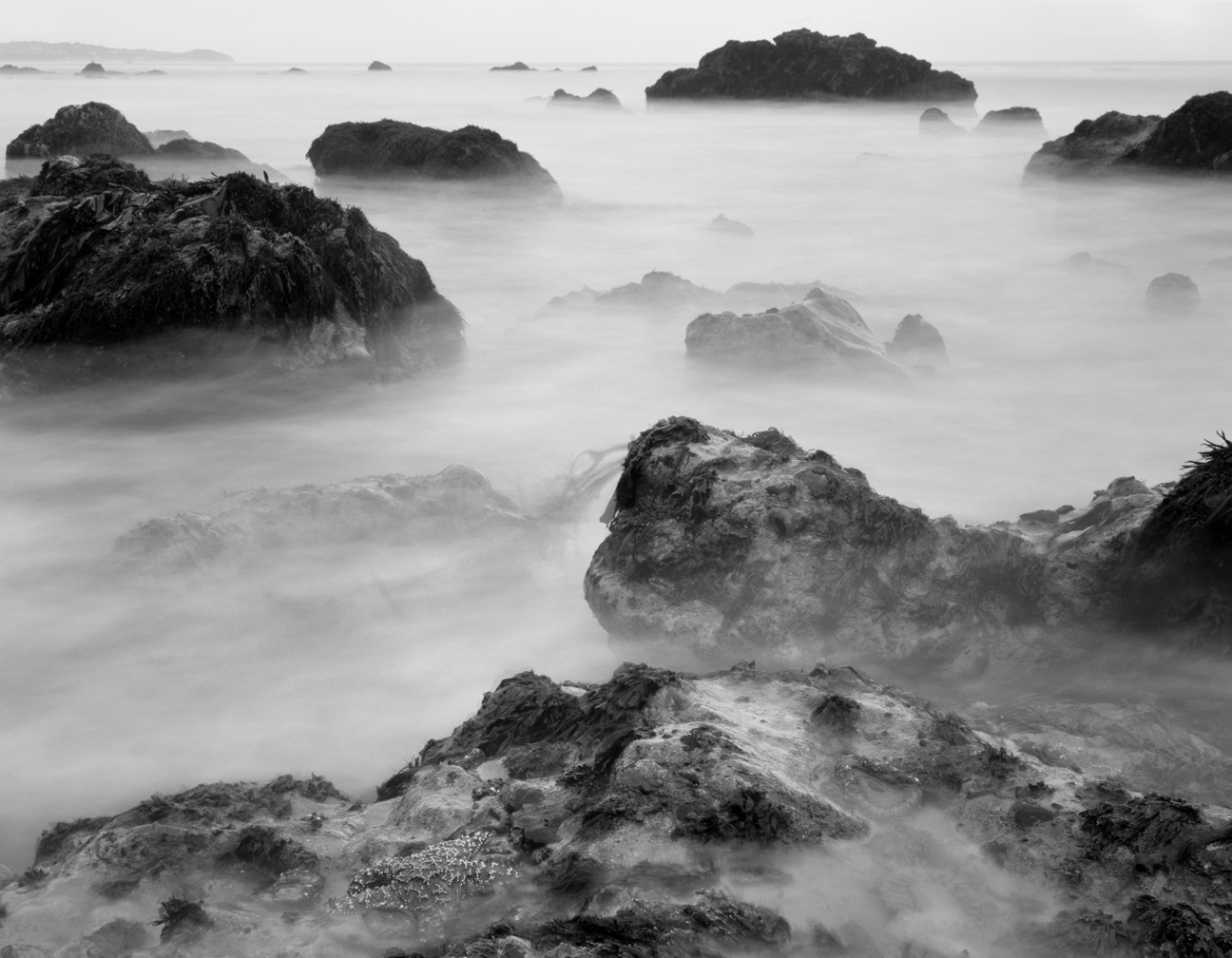 the tides of el matador | Jasmine Swope